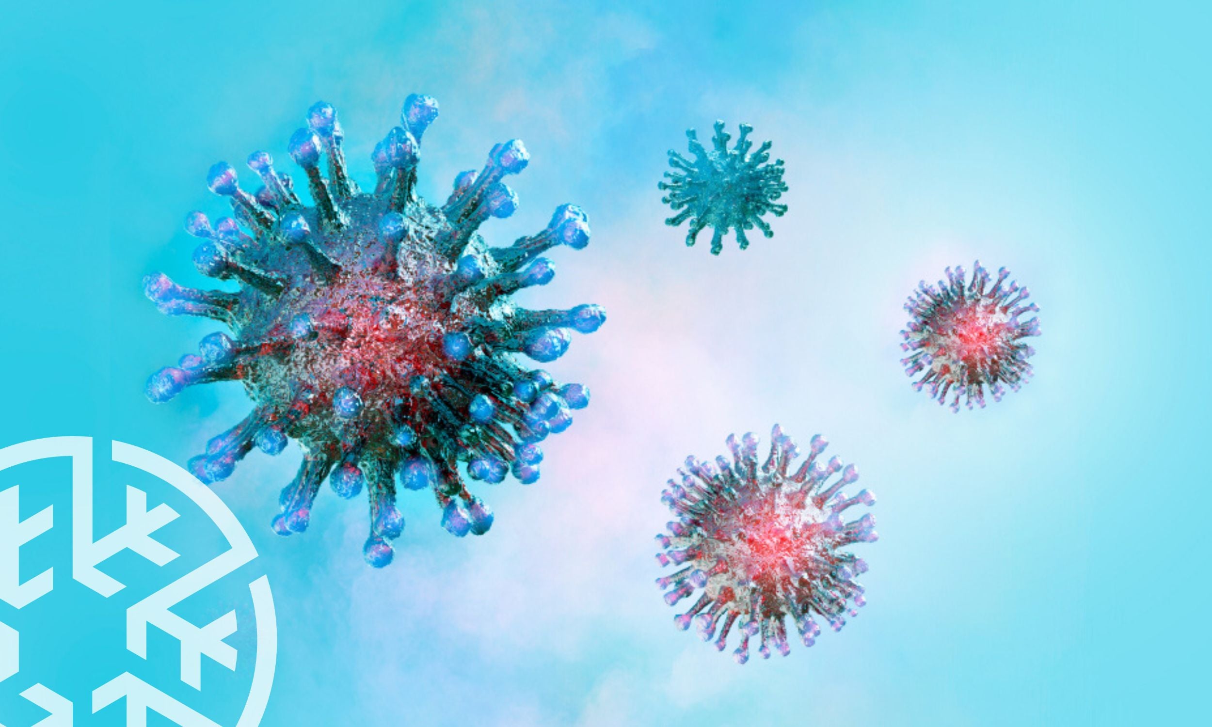 Bacteria and viruses – Ref-Sol